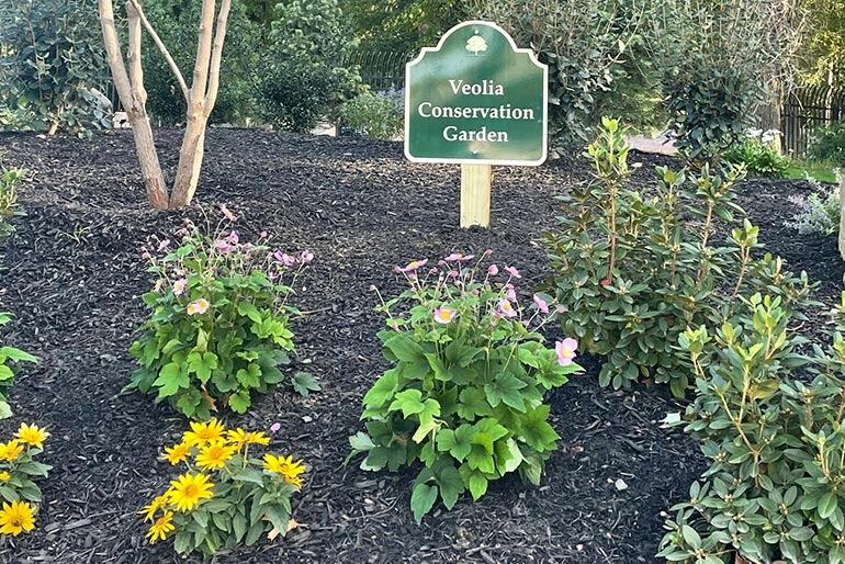How to Develop Sustainable Community Engagement Strategies